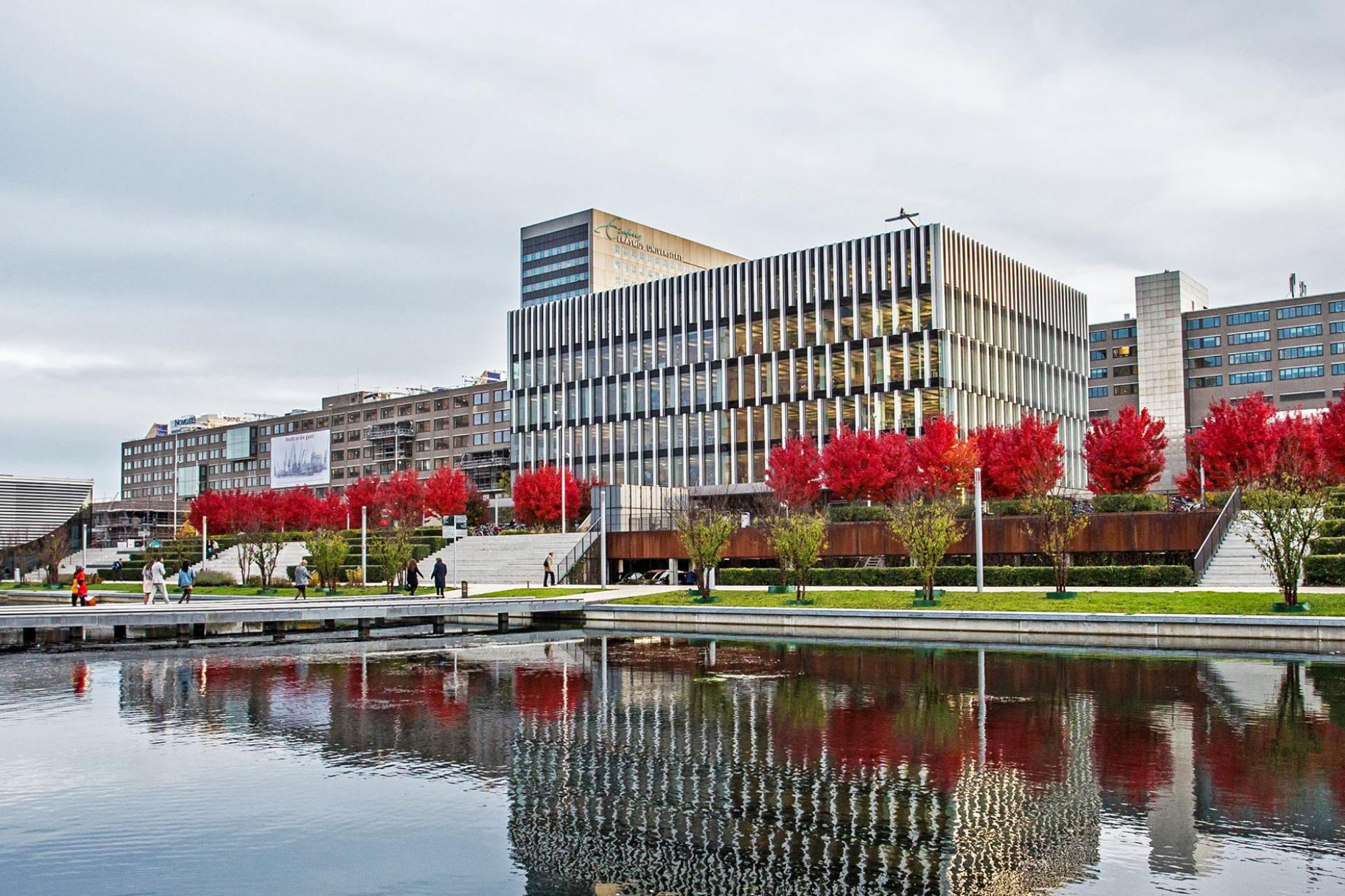 Rotterdam School of Management, Erasmus University（オランダ・ロッテルダム） | 留学ならアブログ